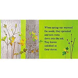 Red Leaf, Yellow Leaf