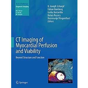 CT Imaging of Myocardial Perfusion and Viability: Beyond Structure and Function (Medical Radiology)