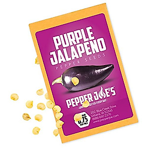 Pepper Joe’s Purple Jalapeno Pepper Seeds ­­­­­– Pack of 10+ Rare Mild Hot Pepper Seeds – USA Grown ­– Premium Non-GMO Purple Jalapeno Seeds for Planting in Your Garden
