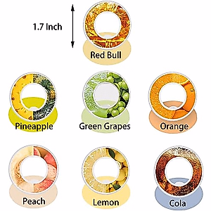 Rhea & Co. Scented Infusion Fruit Fragrance Water Bottle, Water Bottle with One Mystery Flavor Pod - 650ml (Blue +1 Free Pod)