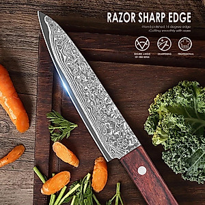 COOKLET'S Small Pairing Knife for Cutting Fruit, Professional VG10 Damascus Steel Forged Ultra Sharp Kitchen Knife, G10 Ergonomic Color Wooden Handle with Luxury Gift Box