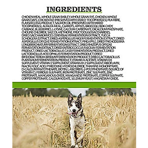 HORIZON PET NUTRITION Complete Whole Grain, Non GMO, Meat Dense All Life Stage Dry Dog Food, 8 8 lb Bag, (CA4)