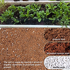 6 Qt Potting Soil, Organic Potting Mix for Indoor and Outdoor Plants, Succulent and Cactus Soil Potting Mix with Fast Draining Formula Natural Mixture Bonsai Soil for Plant Fast Growing