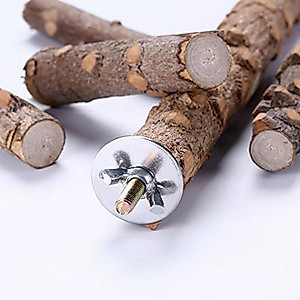 Bird Perch Nature Wood Stand for 3-4pcs Small Medium Parrots (S)