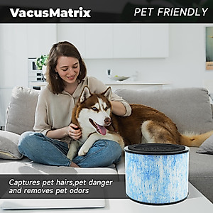 2 Pack AP200 3-in-1 H13 True HEPA Replacement Filters Compatible with Instant AP200, Pre-Filter & H13 Grade True HEPA Filter & High Efficiency Activated Carbon Filter, Compare to F200 Filter