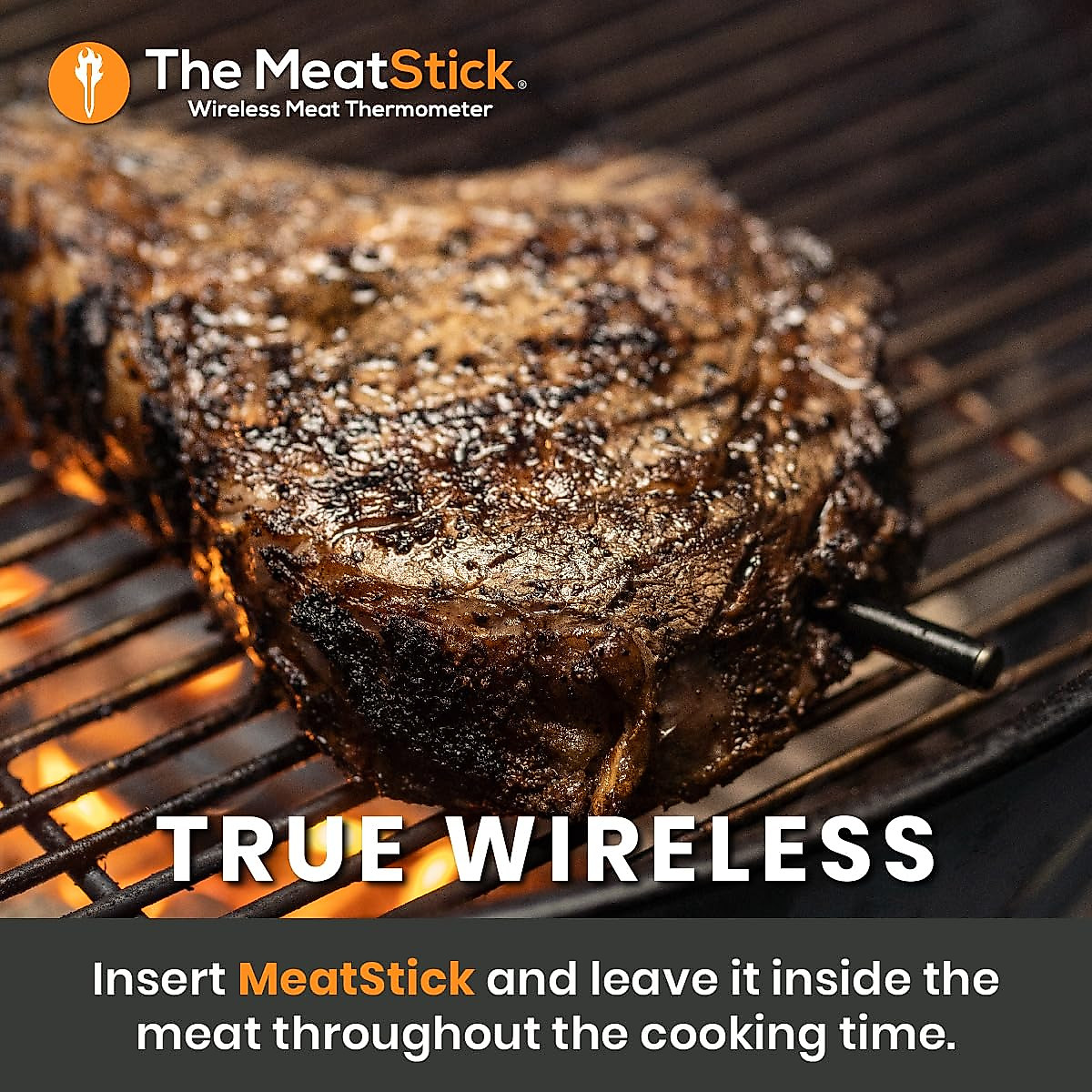 MeatStick X (One Probe Set) | Smart Wireless Meat Thermometer | 260ft Range Digital Food Probe with Bluetooth | for Smoking, Grilling, BBQ, Air Fryer, Deep Frying, Oven, Sous Vide, Rotisserie