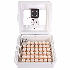 Little Giant® Digital Still Air Incubator | 41 Eggs | Egg Incubator with Temperature and Humidity Control | Chick Incubator