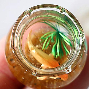 Dollhouse Miniature Goldfish Bowls, Chic Miniature Fish Tank with Smooth Surface, Realistic Resin Dollhouse Fish Tank Accessories for Garden Scene Decor, 1.06" x 0.51" x 1.02"