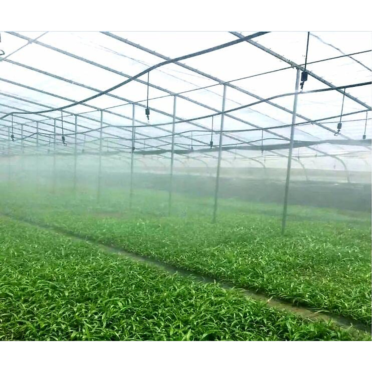 Irrigation Fittings Kit Drip Barbed Tubing Connectors for 1/4 Inch Tube, Flower Pot Garden Lawn 280 Pcs ( Elbows, End Plug, Straight Barbs, Tees, 4-Way Coupling (1/4" Irrigation Fittings Kit, Black)