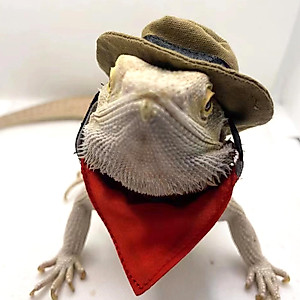 SEIS 2PCS Bearded Dragon Cowboy Hat and Bandana Halloween Lizard Reptile Costume Cool Pet Cap Small Animal Hamster Outfit Suit Cosplay Sculpt (Cowboy)