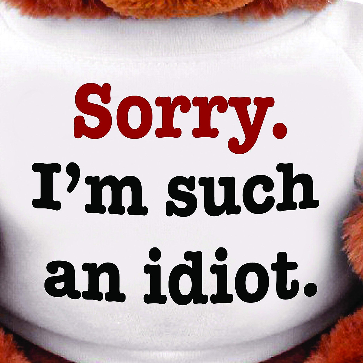 "SORRY I'M SUCH AN IDIOT" 13" Inch Teddy Bear - Cute And Cuddly : Funny Teddy Bear Couple Gift : Romantic Cute Teddy Bear Stuffed Animal