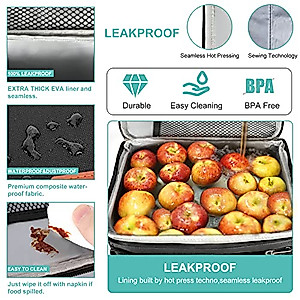 Adult Lunch Bag Men Women Insulated Lunch Box Thermal Cooler Lunch Tote Bag with Adjustable Shoulder Strap for Nurse Office Work Picnic Beach and School