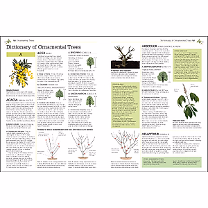 Pruning and Training, Revised New Edition: What, When, and How to Prune