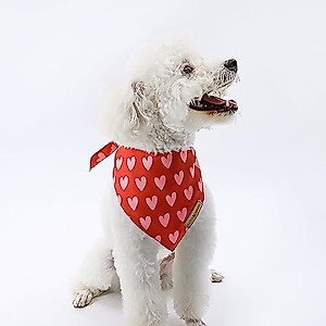 LunaMarie - Luxury Cat and Dog Bandanas - Hearts Designs | Premium Silky Poly Fabric | 100% Handmade Custom Shape Valentine's Day Dog Bandana Multiple Sizes (Evie Hearts, Small)