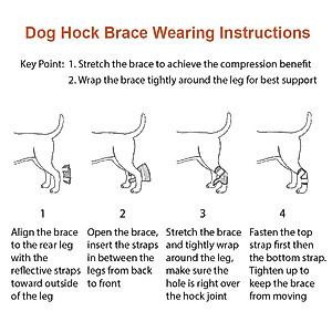 NeoAlly Cat and Dog Ankle Brace Pair Canine Rear Leg Hock Support with Safety Reflective Straps for Hind Leg Wounds Heal and Injuries and Sprains from Arthritis (S Pair)