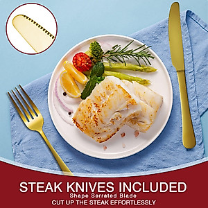 SUTETLW 20 PCS Kitchen Cutlery Set - Stainless Steel Flatware for 4 Dishwasher Safe Kitchen Tableware Ware Include 4pcs Spoon,4pcs Fork,4pcs Knife,4pcs Dessert Fork,4pcs Teaspoon (Rainbow)