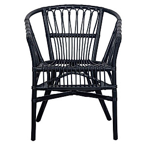 Safavieh Home Adriana Coastal Black Rattan (Set of 2) Accent Chair, 0