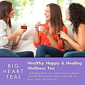 Big Heart Tea Co. Tea Bags Sampler Set - Certified Organic, Ayurvedic Herbal Tea - Small Batch Ground Herbs, Florals, Spices in Zero Plastic Sachets - Healthy Tea Variety Pack - 8 Flavors, 16 Pack