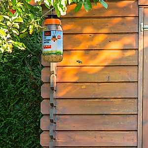 Fly Catcher Bottle- Outdoor Reusable Hanging Fly Trap- Add Water to Catch House & Horse Flies in Garden, Backyard & Barn, 25-Gram Clear Trap, 3 Pack