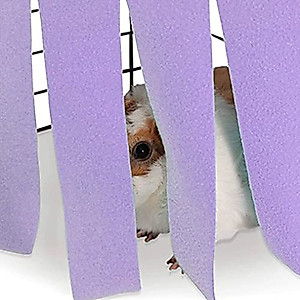 EastVita Tassel Hammock Corner Pet Shelter Tent Nest Corner Hidden Habitat Tent Peekaboo Toys Cage Accessories for Guinea Pigs Ferrets Chinchillas Rats Bunny and Other Small Animals Light Pink