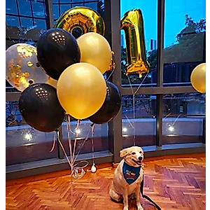 That Dog In Tuxedo Call me Your Highness Dog Bandana/Dog Scarf with Adjustable Dog Collar (Size XL)