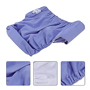 Healifty Adult Diapers Adult Incontinence Underwear Cloth Diapers for Elderly Washable Reusable Leak Protective Underwear for Women Men Purple