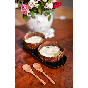 Natural Craft Coconut Bowls and Spoons set (Set of 2)