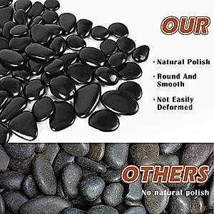 Black River Rocks for Plants 5.5 LB Small Decorative Pebbles 1"-1.5" Polished Stones Smooth Aquarium Gravel for Fish Tank Vases Indoor Planters Outdoor Landscaping Garden (88oz)