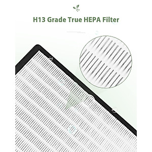 Future Way 2 Set HSP001 Filter Replacement Compatible with HSP001 Smart True HEPA Air Purifier, H13 True HEPA and Activated Carbon Filter