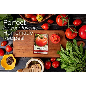 Ace 55 VF Tomato Seeds for Planting Heirloom Non-GMO Seeds for Home Garden Vegetables Makes a Great Gift for Gardening by Gardeners Basics