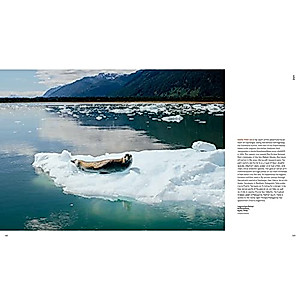 Coastlines: At the Water's Edge