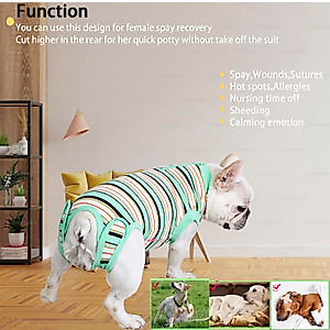 Wabdhaly Dog Surgery Recovery Suit,Surgical Recovery Suit for Medium Female Dgos Spay,Zipper Closure,Combed Cotton Breathable Onesie,Multi Green Striped M