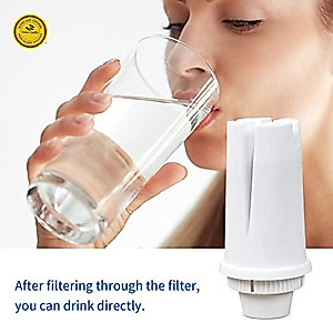 YanBan Replacement for Brita Water Filter, Water Pitcher Filters,Compatible with Brita Pitcher Filter Standards Grand,Wave Classic 35557, OB03, 107007(6 Pack)