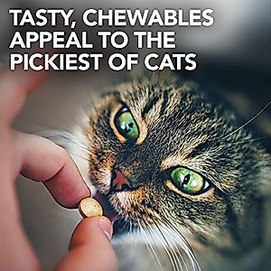 Vet's Best Cat Urinary Tract Support Chewables | Supports A Healthy Urinary Tract in Cats | 60 Chewable Tablets