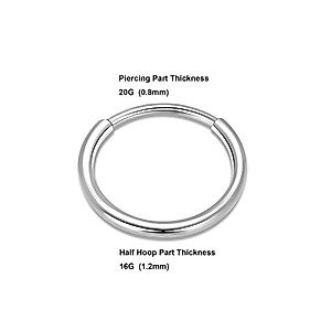 LovePiercing ASTM-F136 titanium earrings small hoop earrings for women septum rings nose rings 20G Silver(20G 14MM)