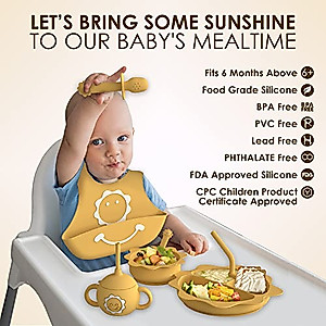 DINETHICS Baby Led Weaning Supplies - Silicone Baby Feeding Set includes Silicone Bibs, Suction Plates for Baby, Sippy Cups with Straw, Baby Bowls with Suction & Baby Spoons Self Feeding 6 Months +