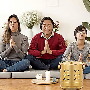 DOITOOL Composter Burn Stainless Steel Incinerator Burn : Garden Incinerator Can Fire Pit with Hanging Hook Burning Tongs Worship Burning Pail Golden Debris Burn Incinerator Bin Compost Tumbler