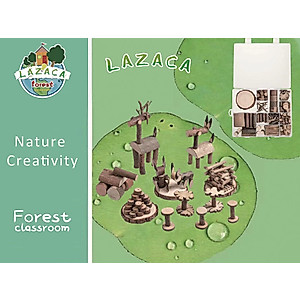 LAZACA Wood Craft Kits DIY for Kids Ages 5-20 Wooden Art Paint Bulk Crafts Garden Playset Loose Parts Play Materials L/21X17X4cm
