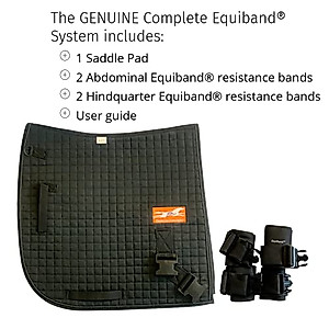 Equiband Equicore Concepts Complete System, Large Size, Oversize Horse