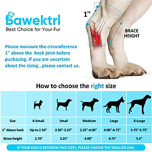 Dog Leg Braces for Rear Legs, Hock Brace for Back Legs with Metal Strips and Safety Reflective Straps for Short Legs, Joint Warps Support for Hind Legs Injuries Sprains Arthritis (XSmall)