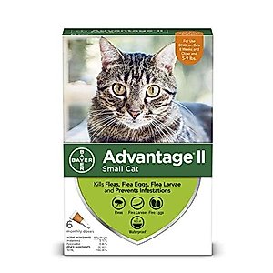 Advantage II 6pk Cat Orange 1-9 Lbs