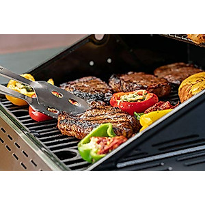 Megamaster 720-0864MA 2 Burner Propane Barbecue Gas Grill, for Camping, Outdoor Cooking, Patio, Garden Barbecue Grill, 28000 BTUs, with Foldable Side Table, Silver and Black