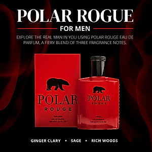 Sandora Fragrances Cologne for Men - Citrus, Aromatic, Musky, Fresh Spicy, Woody, Powdery, Lavender, Sweet, Soft Spicy - (3.4 fl oz / 100 ml)