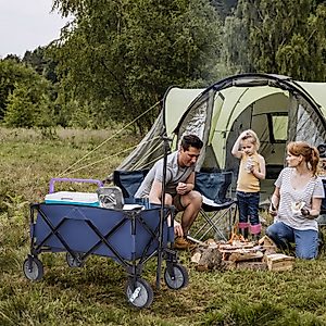 VINGLI Portable Collapsible Utility Wagon,Sturdy Outdoor Folding Garden Sports Shopping Cart, Wagon Wheel Cart, Steel Frame for Beach Park Camping Patio Compact Wheels, Blue