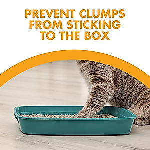 Arm & Hammer Cat Litter Deodorizer, 20 Oz, Orange 1.25 Pound (Pack of 1)