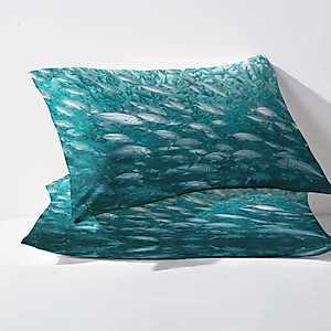 Fish Sheets Full Size, Underwater Bed Sheets, Patterned Bedding Sheets & Pillowcases 4 Piece Set - Soft Microfiber Deep Pocket Fitted Sheet & Flat Sheet & 2 Pillow Cases K2-&-292