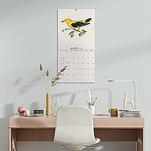 Wall Calendar 2024 12" x 12" FSC® Plastic Free - Starts Week On Sunday | Square Wall Calendar 2024 | Family Planner Calendar 2024 | 2024 Calendar (Birds 2024)
