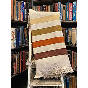 Pure Country Weavers Bent Creek Stripe Blanket - Patterns Gift Tapestry Throw Woven from Cotton - Made in The USA (73x48)
