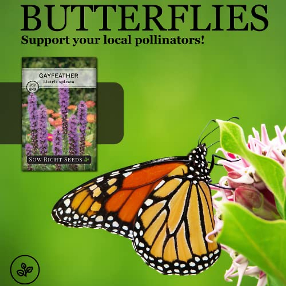 Sow Right Seeds - Gayfeather Liatris Spicata Flower Seed for Planting - Beautiful Flowers to Plant in Your Home Garden - Non-GMO Heirloom Seeds - Pink Blooms Attract Bees and Butterflies - Great Gift