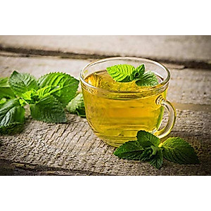 Gaea's Blessing Seeds - Mint Seeds - Non-GMO Seeds with Easy to Follow Planting Instructions - Spearmint - 90% Germination Rate